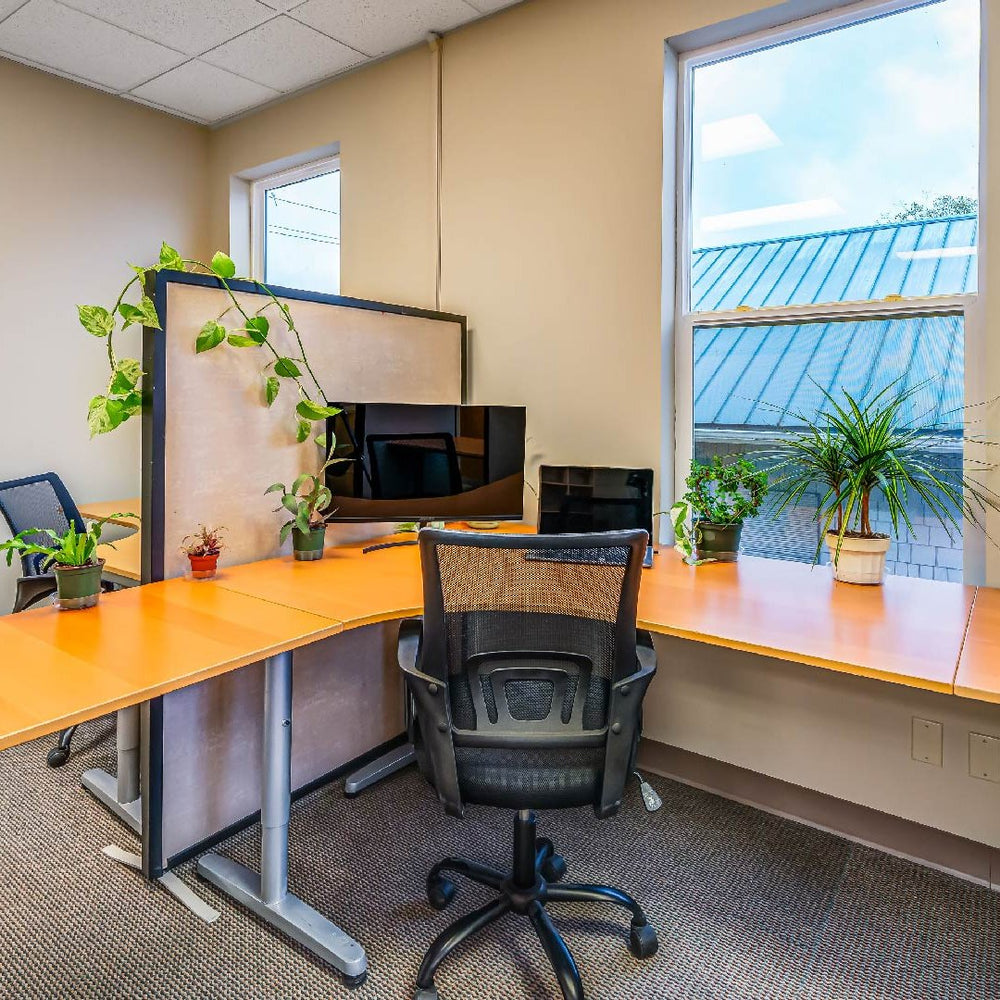 Evergreen Membership